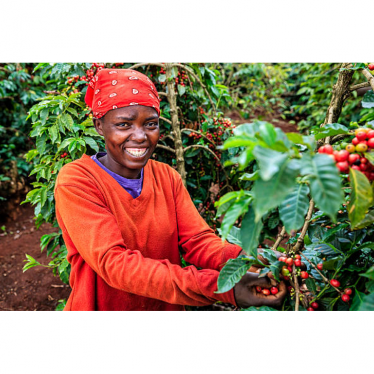Watoto 義賣產品 - Watoto Asia